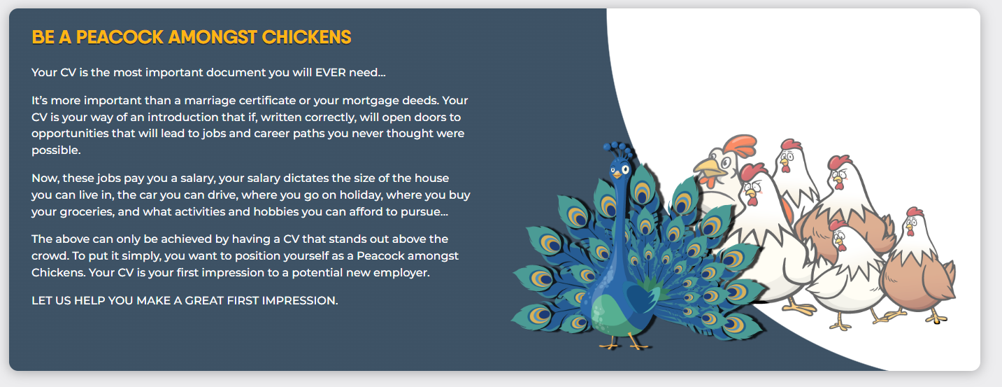CV Upgrade - Rectools.io