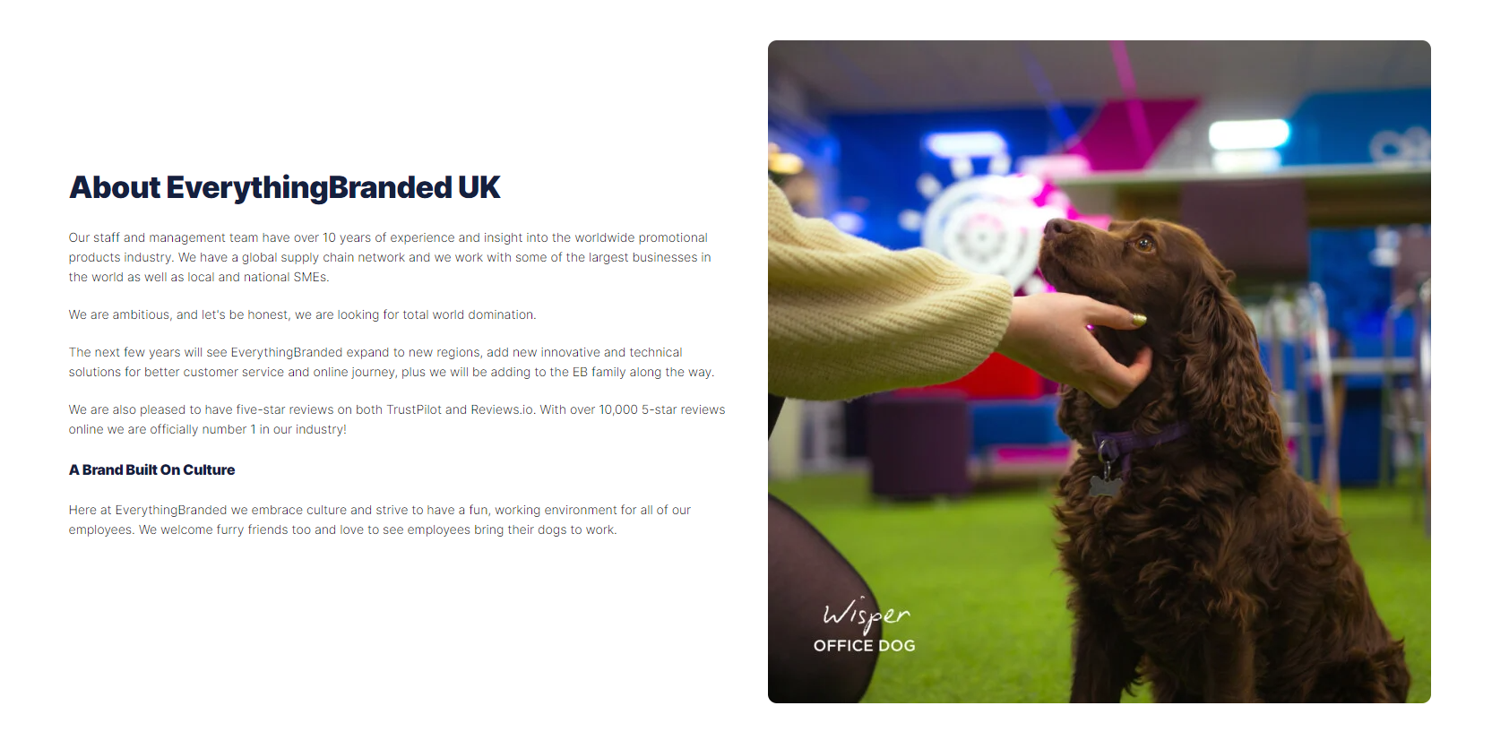 Everything Branded - Rectools.io
