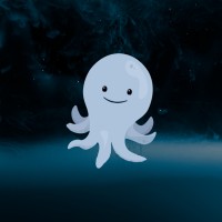 Blue Octopus - Rectools.io